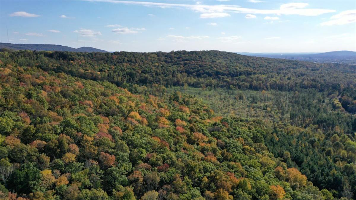 Land Trust Wants to Preserve 92 Acres on Chapman Mountain in Huntsville ...