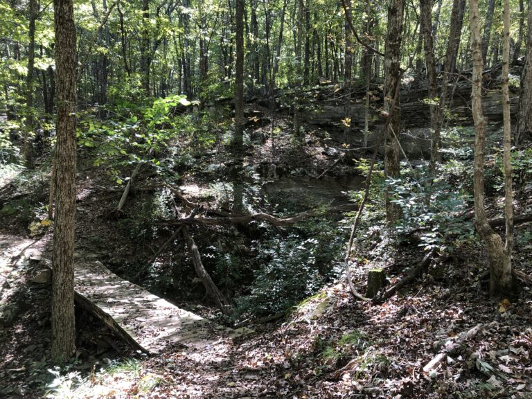 Hickory Cove Nature Preserve Opens, the 10th for Land Trust of North ...