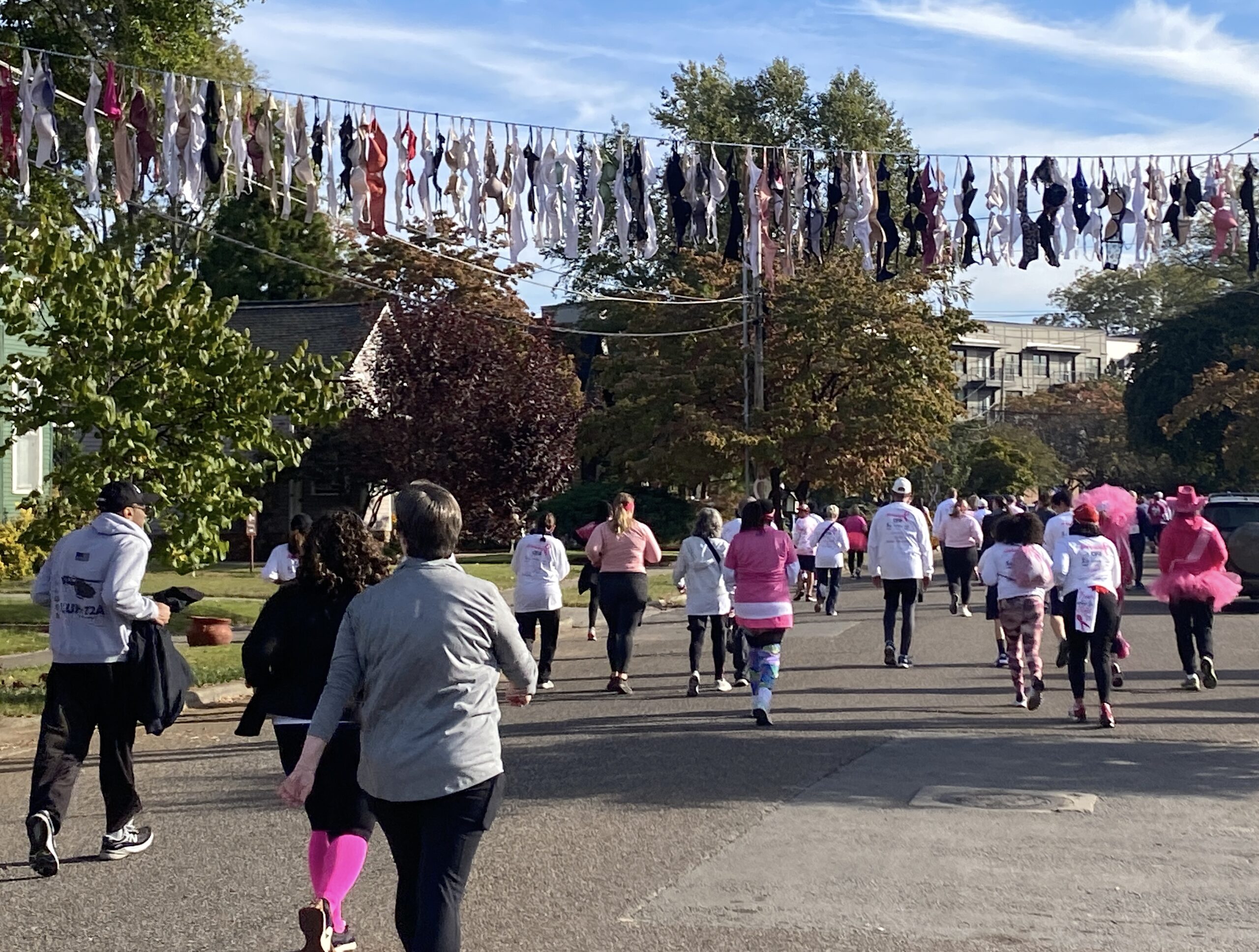 Huge Crowd, Beautiful Day Highlight 21st Liz Hurley Ribbon Run ...